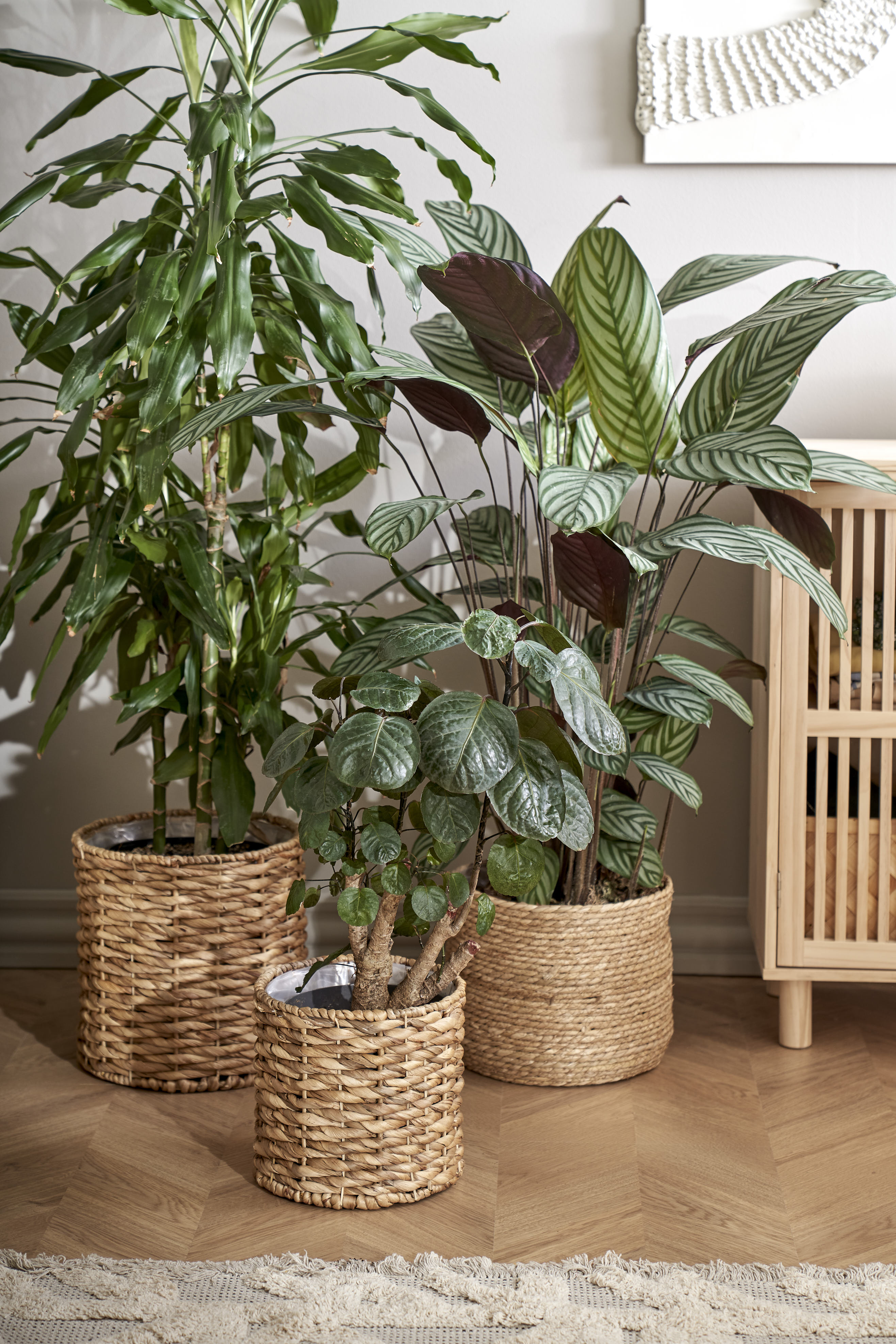 Decorate with baskets | Søstrene Grene