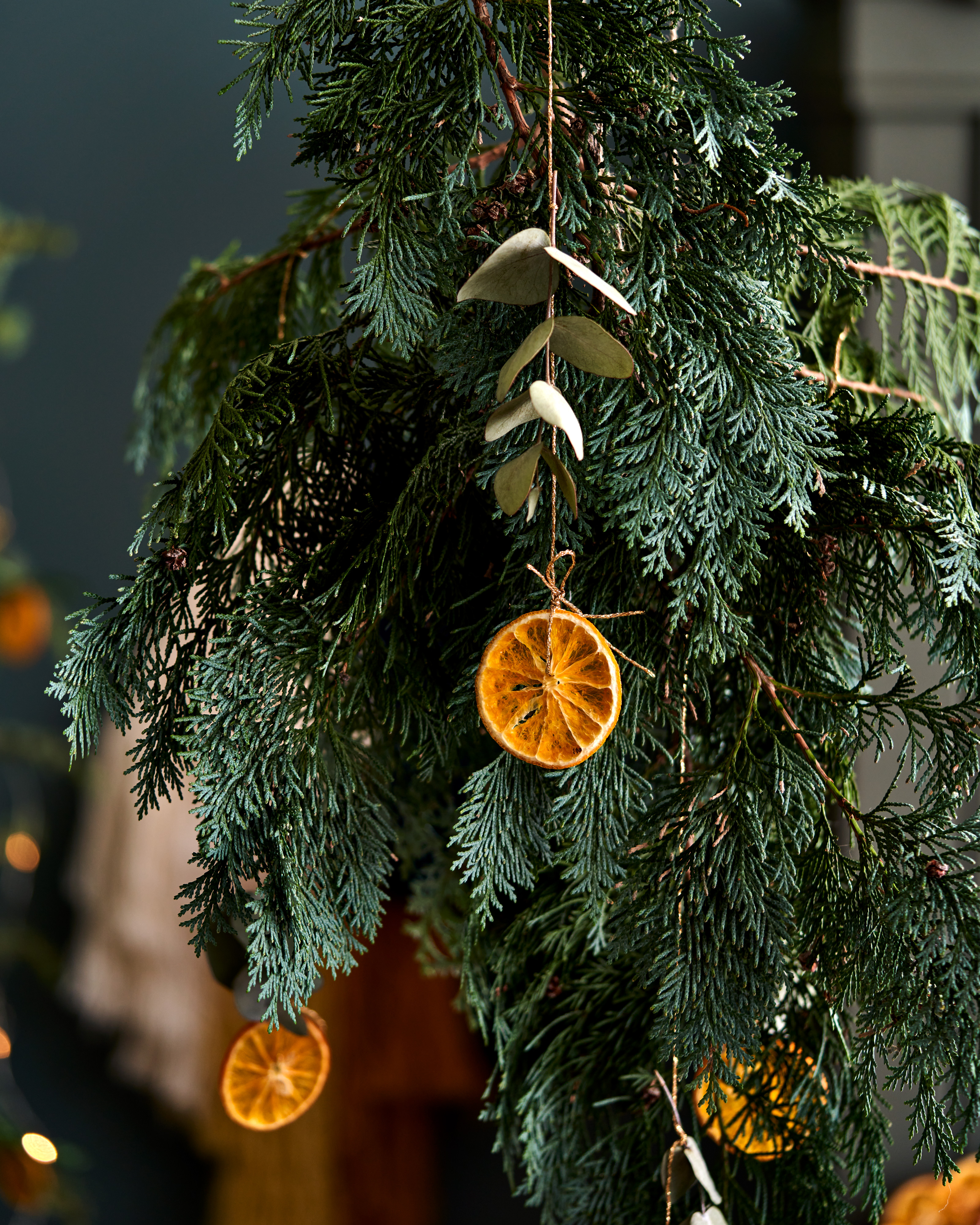 Julpynta med apelsiner | Søstrene Grene