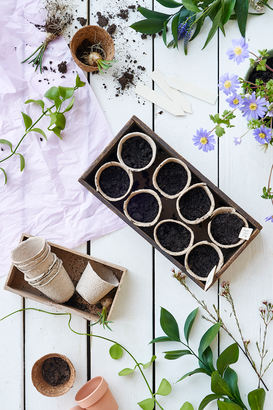 Guide: Pre-sprouting | Søstrene Grene