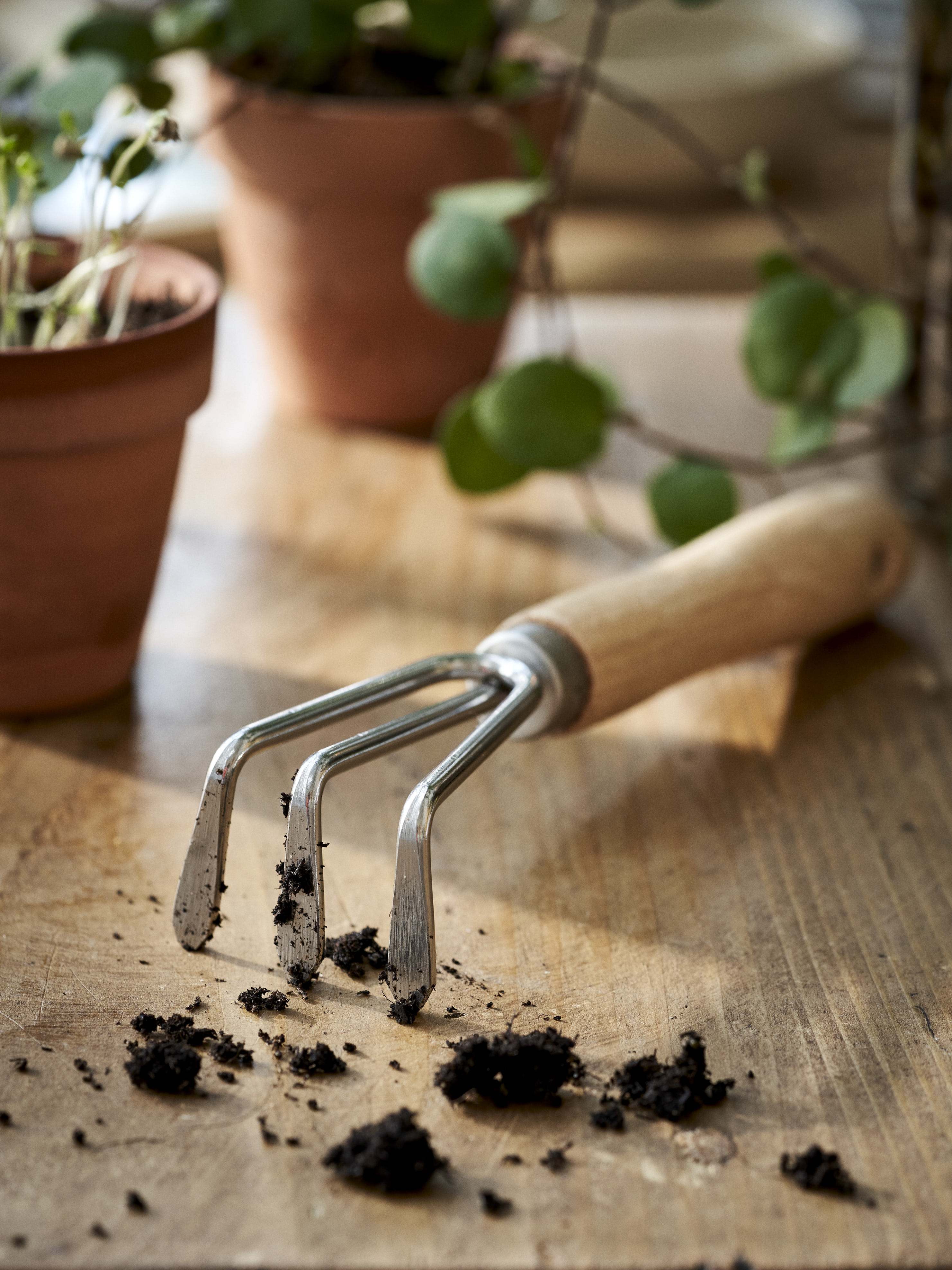 Gardening | Søstrene Grene