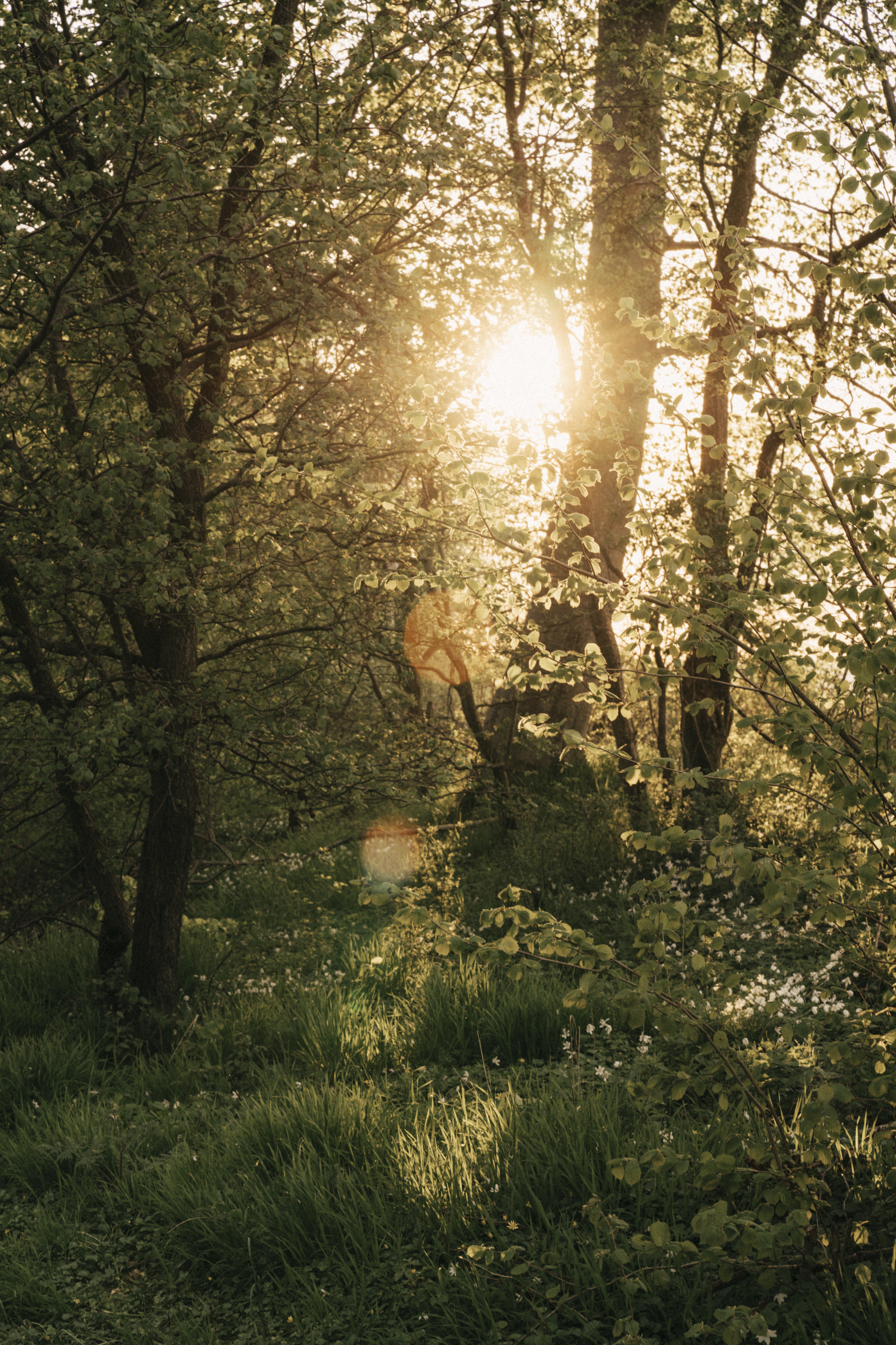 7 idéer för fina nissehus | Søstrene Grene